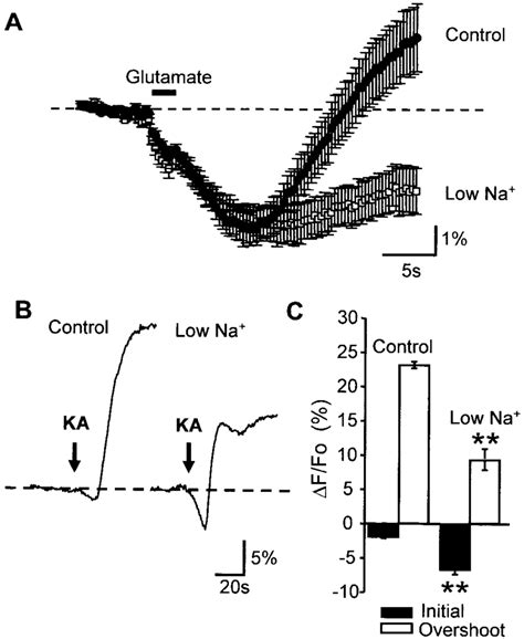 Reduction Of Extracellular [na ] Reduced Stimulus Evoked Nad P H Download Scientific Diagram