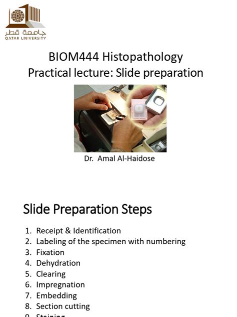 Practical Lecture Slide Preparation Histology Pdf Fixation Histology Staining