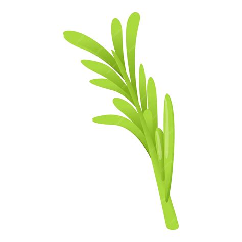 Premium Vector Rosemary Leaf Icon Cartoon Of Rosemary Leaf Vector