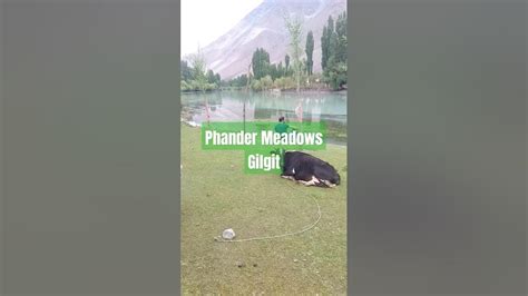 Phander Meadows Phander Youtube