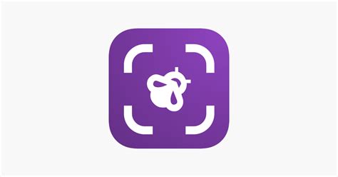 ‎bug Identifier Ai Insect Id On The App Store