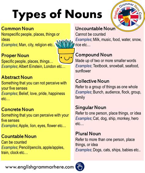 Types Of Noun
