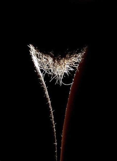 Hottest Closeup Pics Pic Of 78