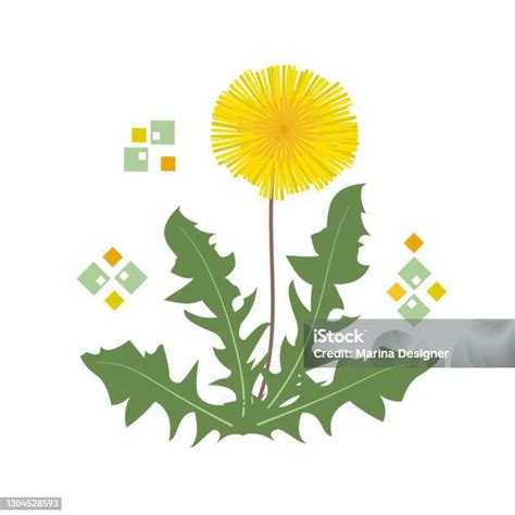 기하학적 모양으로 양식에 일치시키는 녹색 잎이있는 단일 노란색 민들레 꽃 손으로 그린 벡터 봄과 여름 꽃 긍정적 인 분위기 일러스트 엽서 장식용 직물 인쇄 개화기에 대한