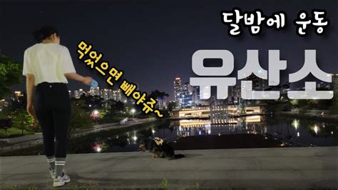 유산소 운동 강아지 키우는 부부가 러닝달리기 운동 하는법 Youtube