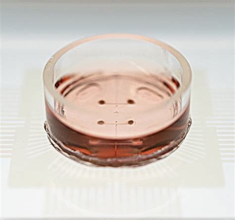 The Surprising New Ideas Coming From AI