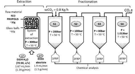 Scheme of extraction and fractionation processes ρ CO g L ρ Download Scientific