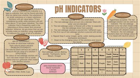 Aina Nadhirah Pbl Chemistry 111 Pdf