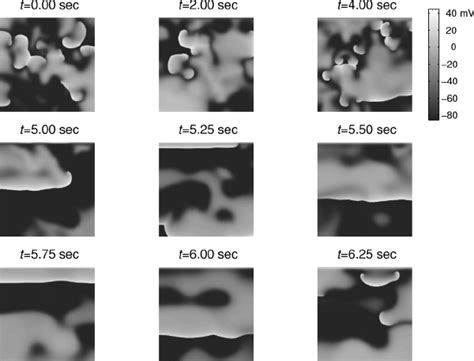 Plots Of Output Frequency Versus Input Frequency For A Driven One
