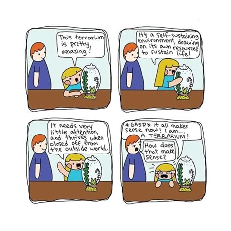 Introvert Doodles An Illustrated Look At Introvert Life In An Extrovert World By Maureen Marzi