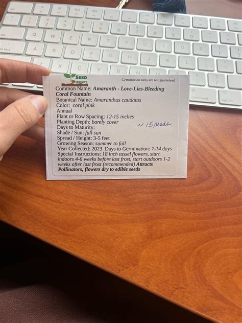 Amarantha And Her Name R Acotar