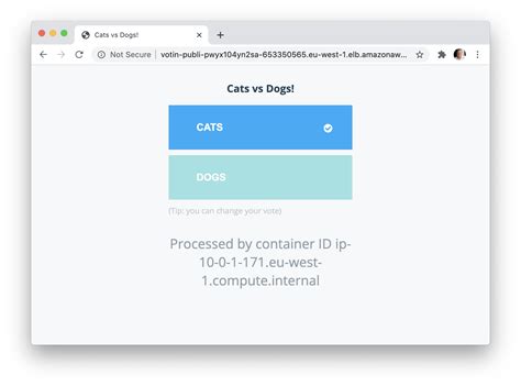 Deploying Containers With The Aws Copilot Cli Part 1 Maartenbruntinknl