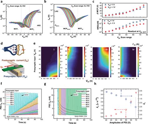 Nonvolatile Memory And Neural Computing Properties Of The Self‐gating
