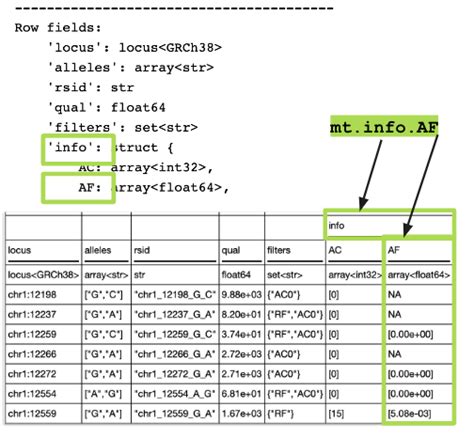 Best Practices On The Dnanexus Platform 6 Hail Skills And Concepts