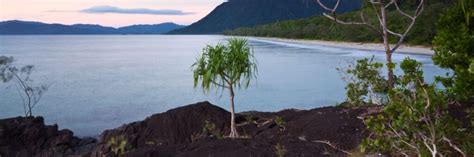 Noah Beach Queensland A Coastal Haven In Tropical Paradise