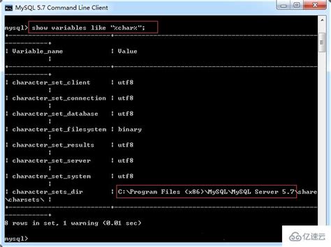 查看mysql安装路径的方法 MySQL数据库 亿速云