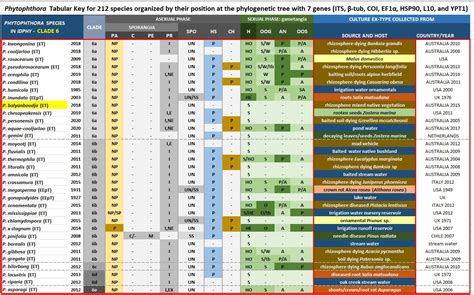 Phytophthora Balyanboodja Idphy