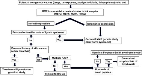Diagnostic Algorithm For Patients Who Are 50 Years Or Younger And Download Scientific Diagram