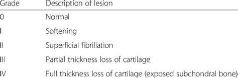 Modified Outerbridge Classification Of Articular Cartilage Lesions 16 Modified Outerbridge Classification Of Articular Cartilage Lesions 16