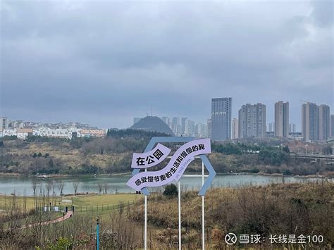 全面注册制改革正式启动，伟大公司将更加弥足珍贵 1）新股一年发行400支以上，退市却很少，a股将快速扩容2022年a股共有428只新股上市