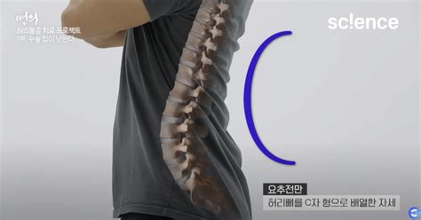 디스크에 안좋은 자세and운동들 유머 움짤 이슈 에펨코리아