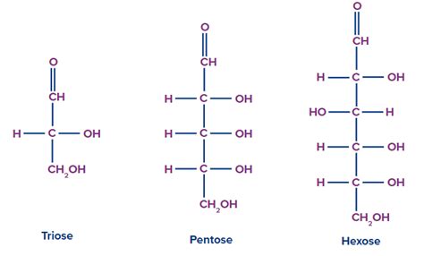 Classification Of Carbohydrates And Their Structure Carbohydrates