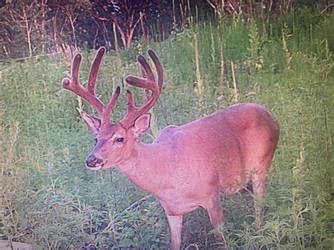 Billy Creek Trl Novinger Mo 63559 ®