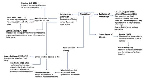 Solved Make A Concept Map That Shows The Evolution Of The Field Of Microbiology Including The