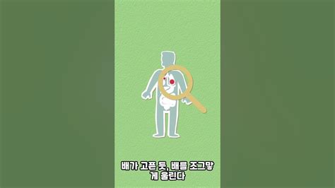 아기고양이 이야기 Youtube