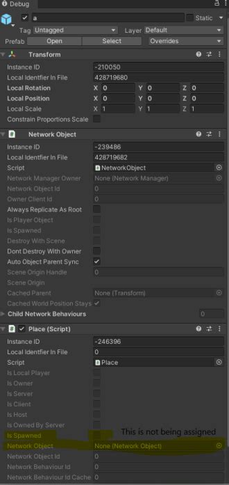 In Scene Placed Prefabs Not Calling To OnNetworkSpawn Automatically Issue Unity