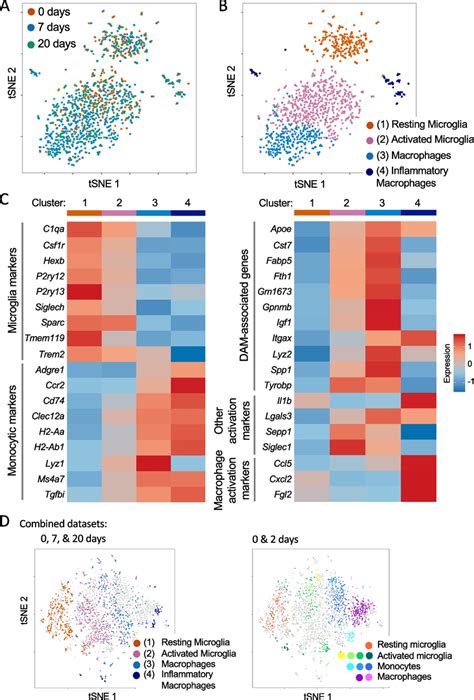 Single Cell Mrna Sequencing Reveals Distinct Populations Of Resident Download Scientific