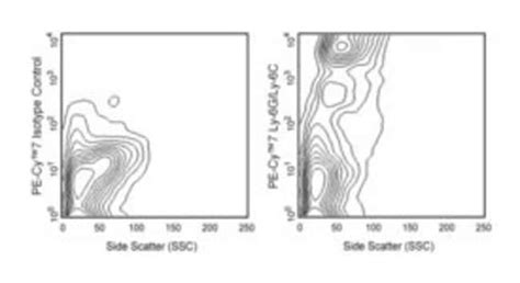Ly 6g And Ly 6c Rat Anti Mouse Pe Cy7 Clone Rb6 8c5 Bd 20μg Pe Cy7