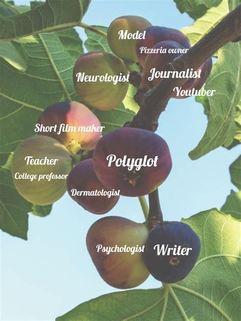 My Fig Tree 2024