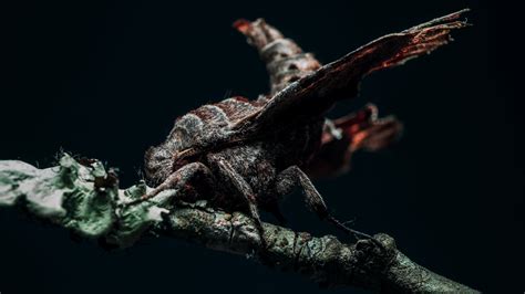 The Role Of Pheromones In Bee Communication Urban Bee Life