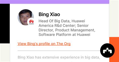 Bing Xiao Head Of Big Data Huawei America Randd Center Senior Director Product Management
