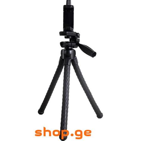 შტატივი