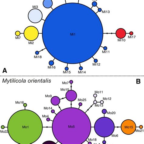 Minimum Spanning Networks For Coi Haplotypes Circles In A Download Scientific Diagram