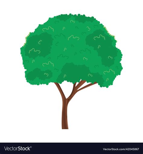 Leafy Tree Icon Royalty Free Vector Image VectorStock