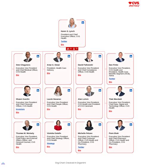 Cvs Healths Organizational Structure [interactive Chart] Organimi