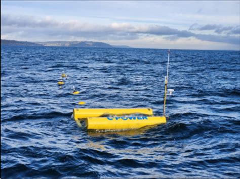 Figure 1 From The Next Wave Buoy Arrays For Deterministic Wave Prediction In Real Time