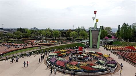 2024となみチューリップフェア 金沢・富山発！東京ディズニーランド®️直通 高速バス 夜行バスならみどりのバス丸一観光
