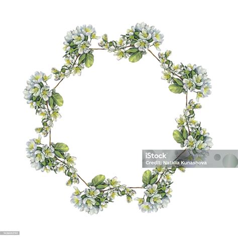 디자인을위한 수채화 원 프레임 테두리 템플릿 흰색 배경에 고립 된 꽃 사과 나무의 화환 손으로 그린 여름 식물 공간을 복사합니다 결혼식 초대장을위한 클립 아트 0명에 대한