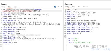 一次dm达梦数据库注入记录 Cn Sec 中文网