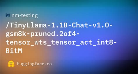 Nm Testing TinyLlama 1 1B Chat V1 0 Gsm8k Pruned 2of4 Tensor Wts Tensor Act Int8 BitM Hugging Face