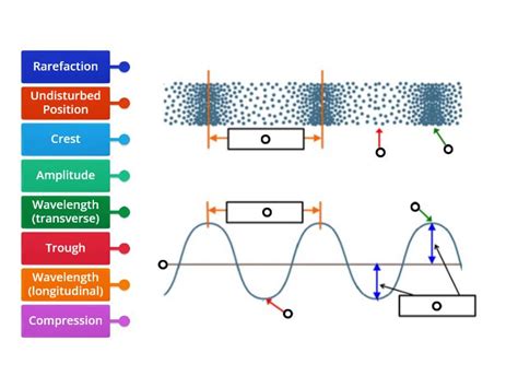Wave Labels Labelled Diagram