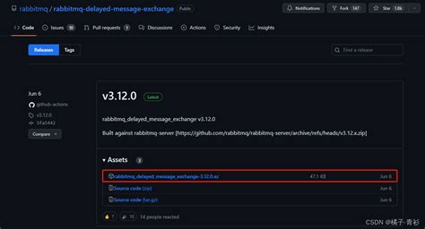 RabbitMQ入门指南 十一 延迟消息 延迟消息插件 阿里云开发者社区