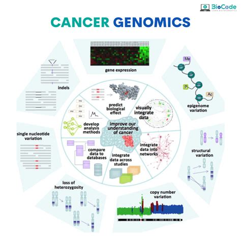 Bioinformatics Live Training Biocode
