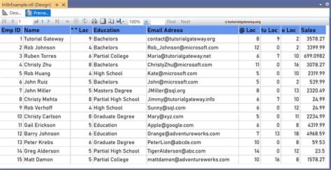 ssrs instr function