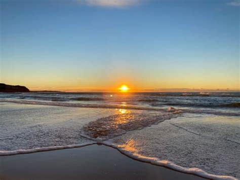 Raunaq Sachdevs Images Canva