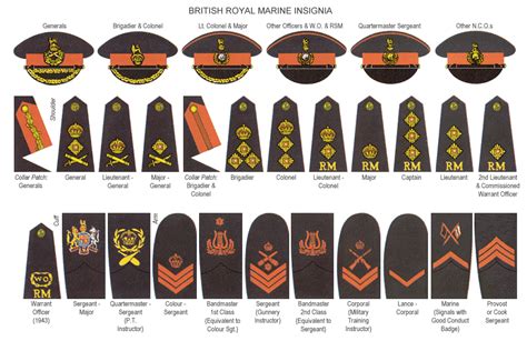 British Enlisted Rank Insignia British Army Ranks Today Pmmqen